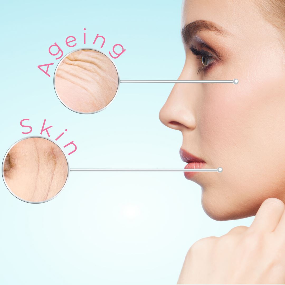 Intrinsic and Extrinsic Factors which Causes Skin to Age